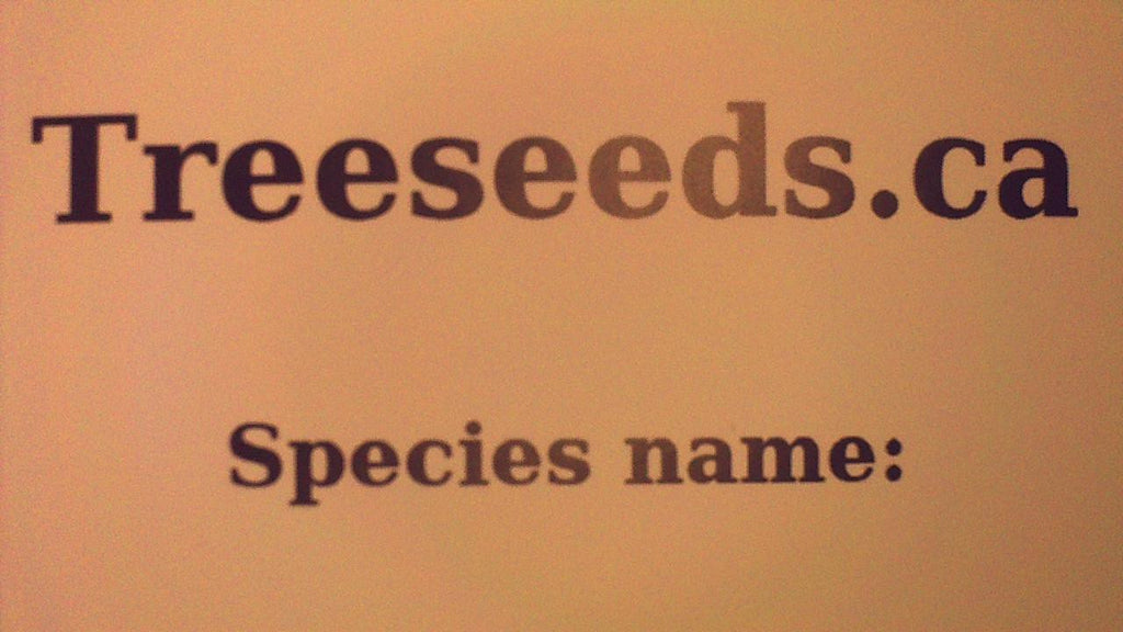 Specimen Labels – TreeSeeds.ca